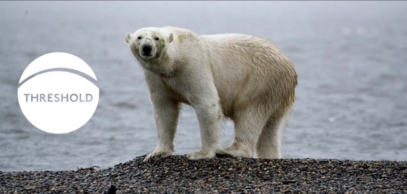 Fighting for the Earth: What to Watch to Understand the Environmental ...